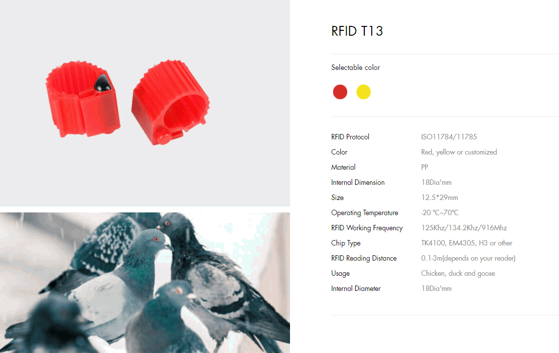 RFID Pigeon Bird Ring Tag - EAS
